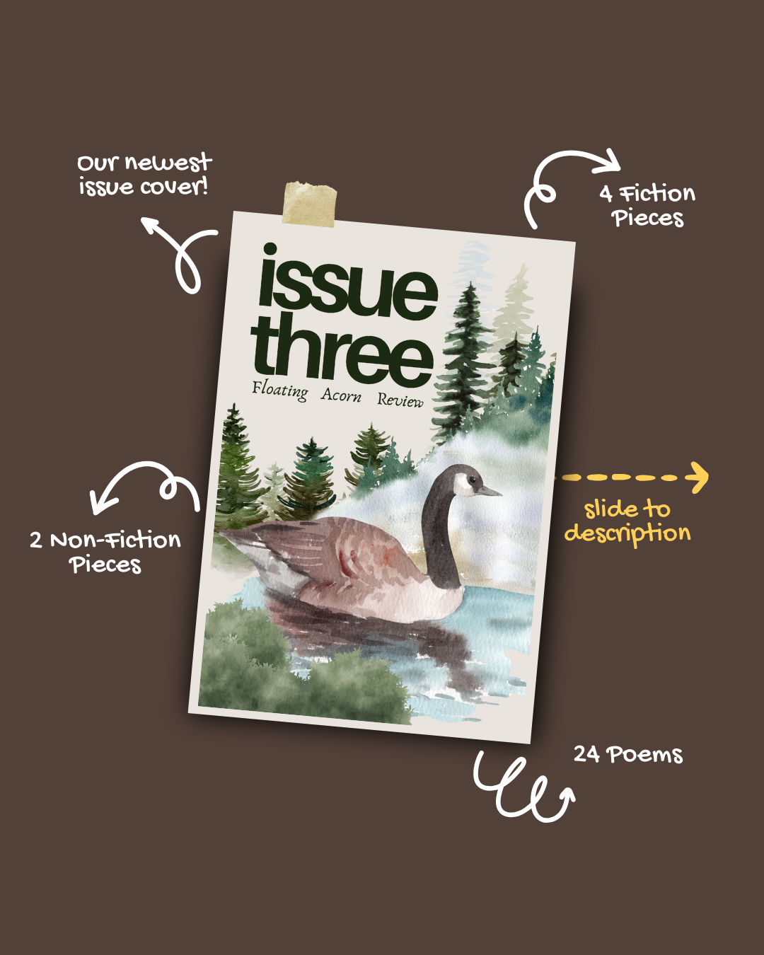 Floating Acorn Review